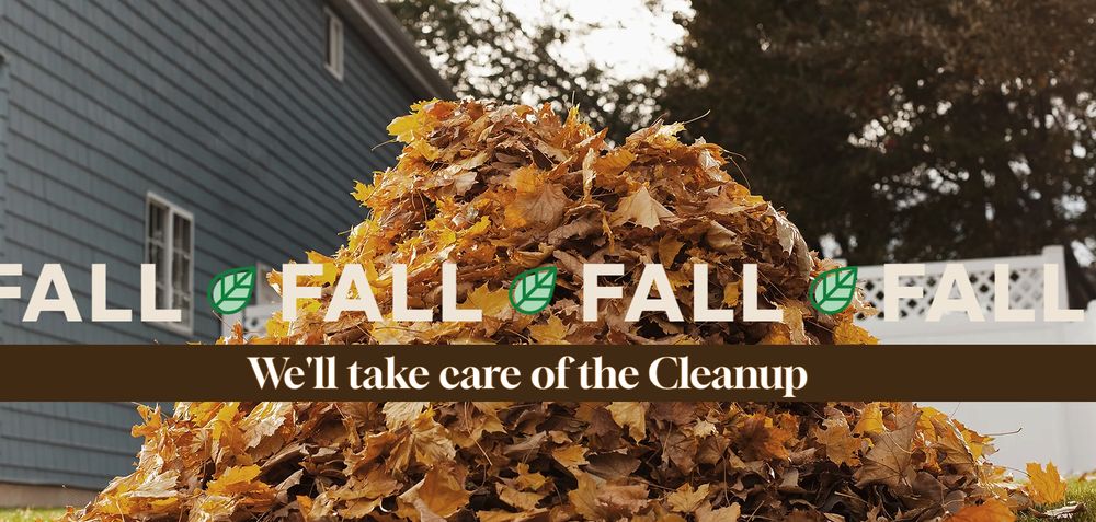 LET ME DO IT - Updated August 2025 - Request a Quote - 35 Photos - 2335 ...