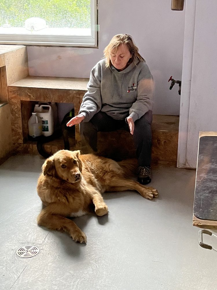 OPEN YOUR HEART HEALING - Updated June 2025 - Request Information ...