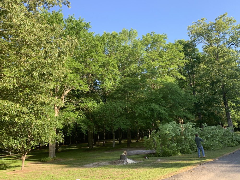 DYLAN TREE SERVICE - Updated July 2025 - 3405 Coffer Ln, Little Rock ...