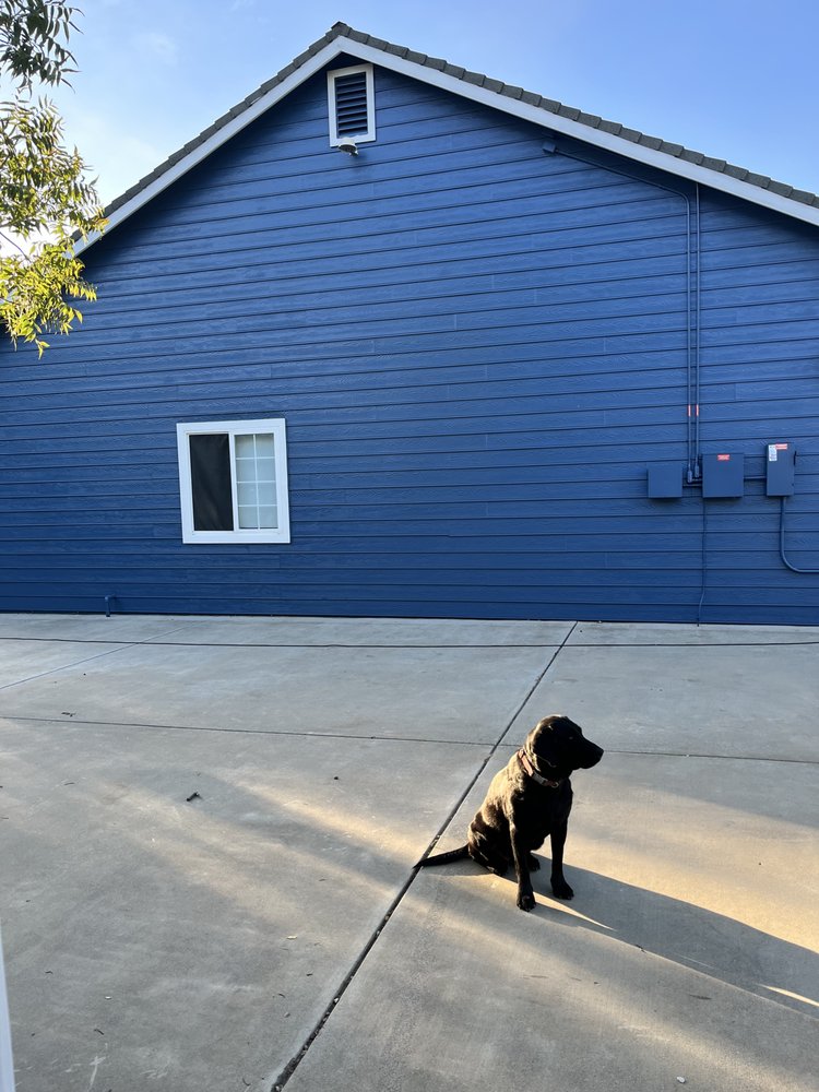 THE MARZ PAINTING SERVICE - Updated January 2026 - 98 Photos & 80 ...