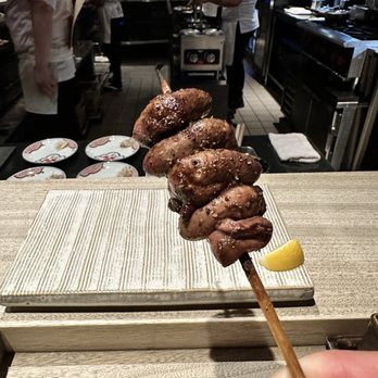 TORIEN - Updated May 2024 - 691 Photos & 55 Reviews - 292 Elizabeth St ...