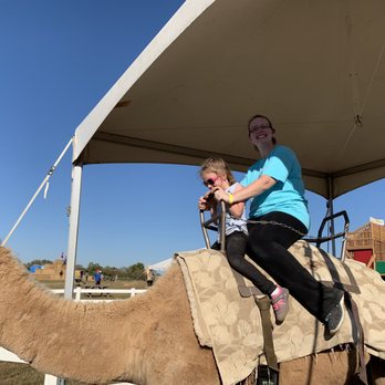 ECKERT’S ORCHARD - Updated October 2025 - 135 Photos & 64 Reviews ...