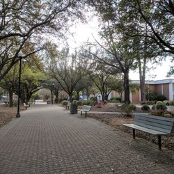 GEORGIA SOUTHERN UNIVERSITY - 36 Photos - Colleges & Universities ...