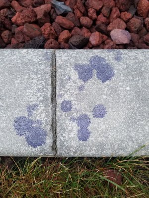 FLOHAWKS PLUMBING AND SEPTIC - Updated June 2026 - 18 Photos & 104 ...