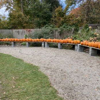 ABMA’S FARM MARKET, GREENHOUSES, AND PETTING ZOO IN WYCKOFF, NJ ...