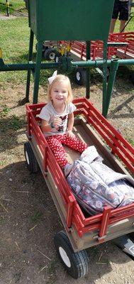 GRITT’S FARMS - Updated June 2025 - 356 Gritt Rd, Buffalo, West ...