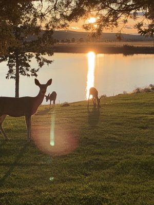 CALIFORNIA PINES LODGE - 15 Photos - 750 Shasta View Dr, Alturas ...