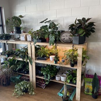 COLLIGO COFFEE - Updated August 2025 - 33 Photos & 14 Reviews - 724 ...