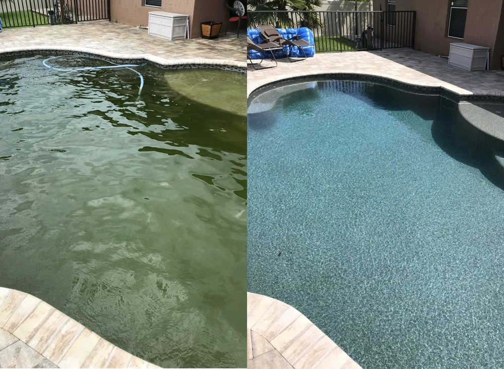 POOL VIKING - Updated July 2024 - Request a Quote - Lehigh Acres ...