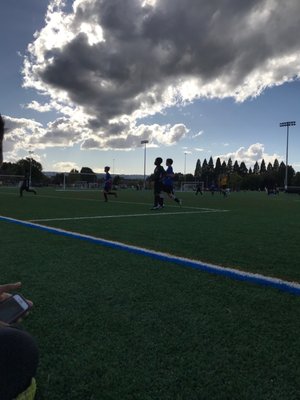 DELTA PARK - Updated December 2025 - 11 Photos & 14 Reviews - 10850 N ...