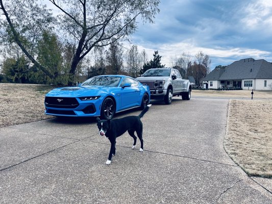 AUTONATION FORD WOLFCHASE - Updated September 2025 - 20 Photos & 121 ...