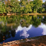 THE DUCK POND - 29 Photos & 19 Reviews - 70 Lakeview Ave, Atlanta, GA ...