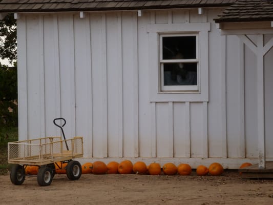 MCFARLAND LIVING HISTORY RANCH - Updated August 2024 - 23 Photos - 8899 ...