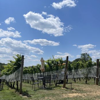 THREE FOX VINEYARDS & BREWERY - Updated October 2024 - 341 Photos & 212 ...