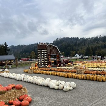 KNUTSON FARMS - Updated October 2025 - 155 Photos & 41 Reviews - 16406 ...