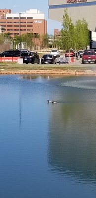 OU HEALTH UNIVERSITY OF OKLAHOMA MEDICAL CENTER - Updated October 2025 ...