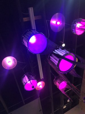 SHOT TOPIC BAR - 15 Photos - 108 S Crowdus St, Dallas, Texas - Whiskey ...