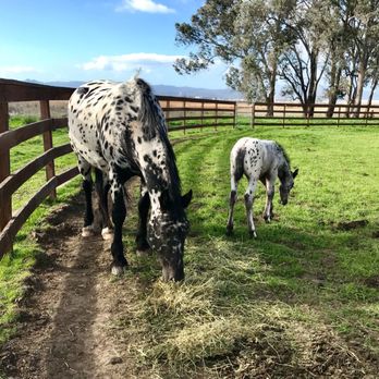 RUSH RANCH OPEN SPACE - Updated January 2026 - 34 Photos & 15 Reviews ...