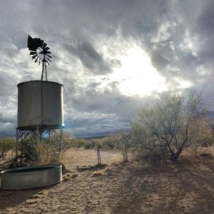 SIERRA VISTA PUBLIC LIBRARY - Updated January 2025 - 48 Photos & 12 ...