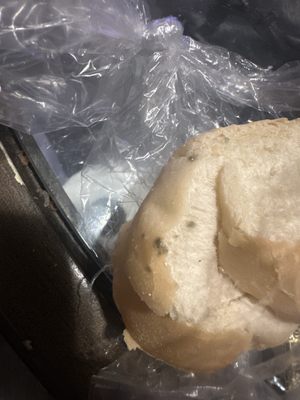 CROW’S NEST - Updated June 2025 - 33 Photos & 75 Reviews - 1257 Harmon ...