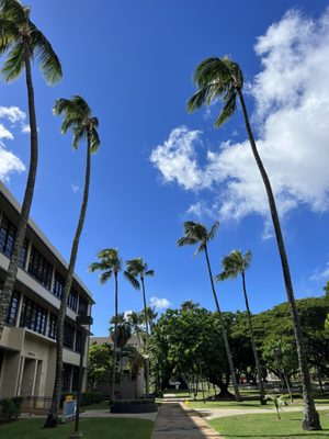 UNIVERSITY OF HAWAII AT MĀNOA - Updated December 2025 - 461 Photos ...
