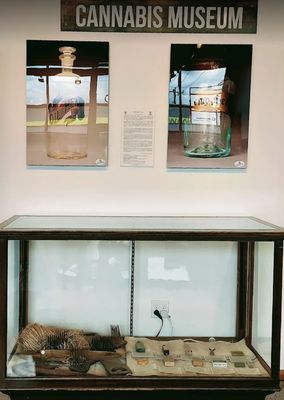 DOCKSIDE CANNABIS - SODO - Updated December 2025 - 88 Photos & 96 ...