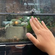 EAST BAY VIVARIUM - 425 Photos & 539 Reviews - 1827 5th St, Berkeley ...
