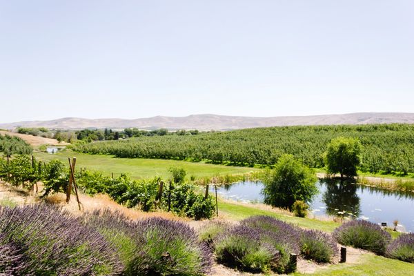 GILBERT CELLARS - Updated July 2025 - 58 Photos & 71 Reviews - 2620 ...