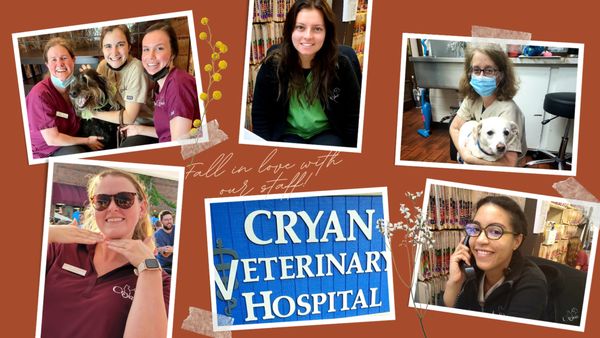 CRYAN VETERINARY HOSPITAL - Updated August 2025 - 50 Photos & 18 ...