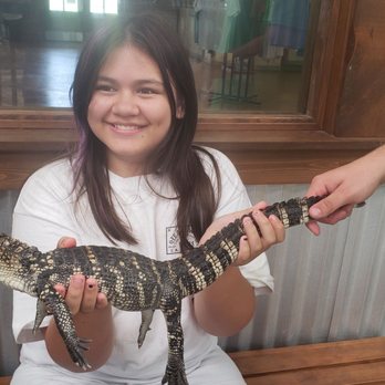 GATOR CHATEAU - Updated July 2024 - 155 Photos & 41 Reviews - 100 Rue ...