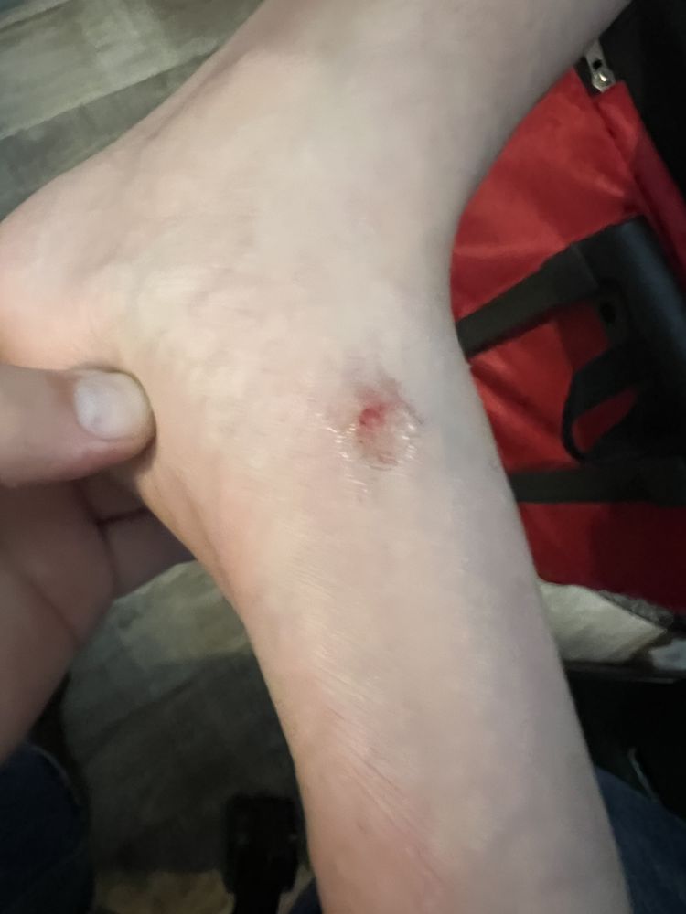 ATHENA ARMS - Updated January 2026 - 11 Photos & 13 Reviews - 3403 ...