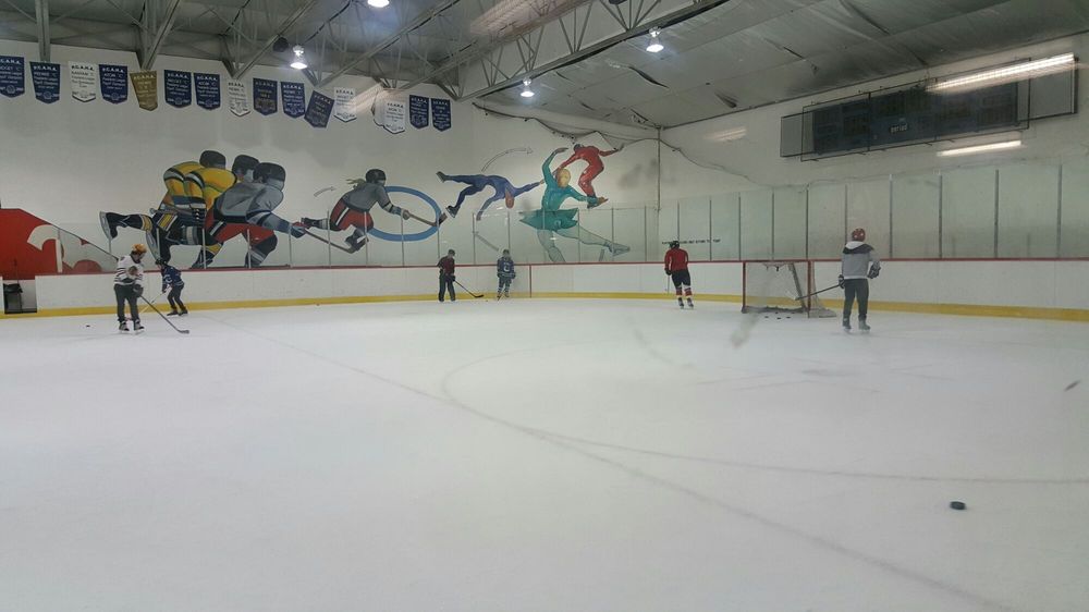 BRITANNIA ICE RINK - Updated January 2025 - 1661 Parker Street ...