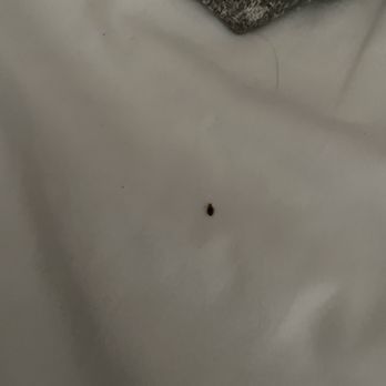 PIG HILL INN - Updated January 2026 - 124 Photos & 70 Real Reviews - 73 ...