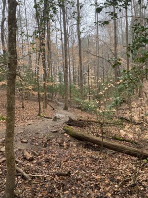 BLUE JAY POINT COUNTY PARK - 60 Photos & 19 Reviews - 3200 Pleasant ...