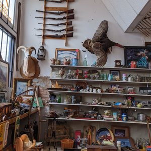 MISTER GUNS RANGE - Updated January 2026 - 2926 Texoma Pkwy, Sherman ...