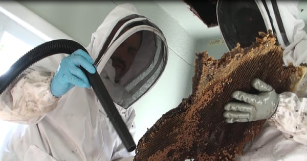 PRO PACIFIC PEST CONTROL - Updated August 2025 - 44 Photos & 262 ...