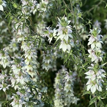 MEADOWS PARK - Updated December 2025 - 33 Photos - 1300 NW 8th St, Boca ...