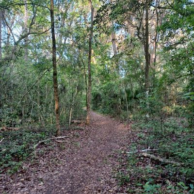 BIVENS ARM NATURE - Updated December 2025 - 44 Photos - 3650 S Main St ...