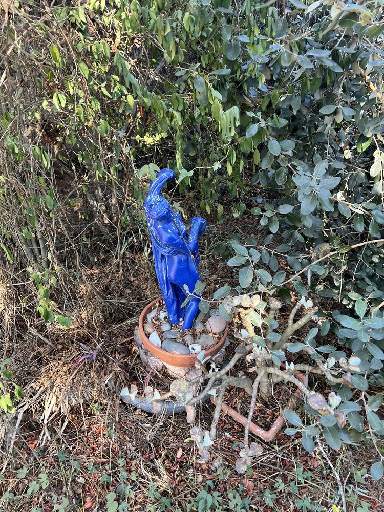 SWEETBRIAR GARDENS - Updated July 2025 - 12 Photos - 2187 Gracey Ln ...