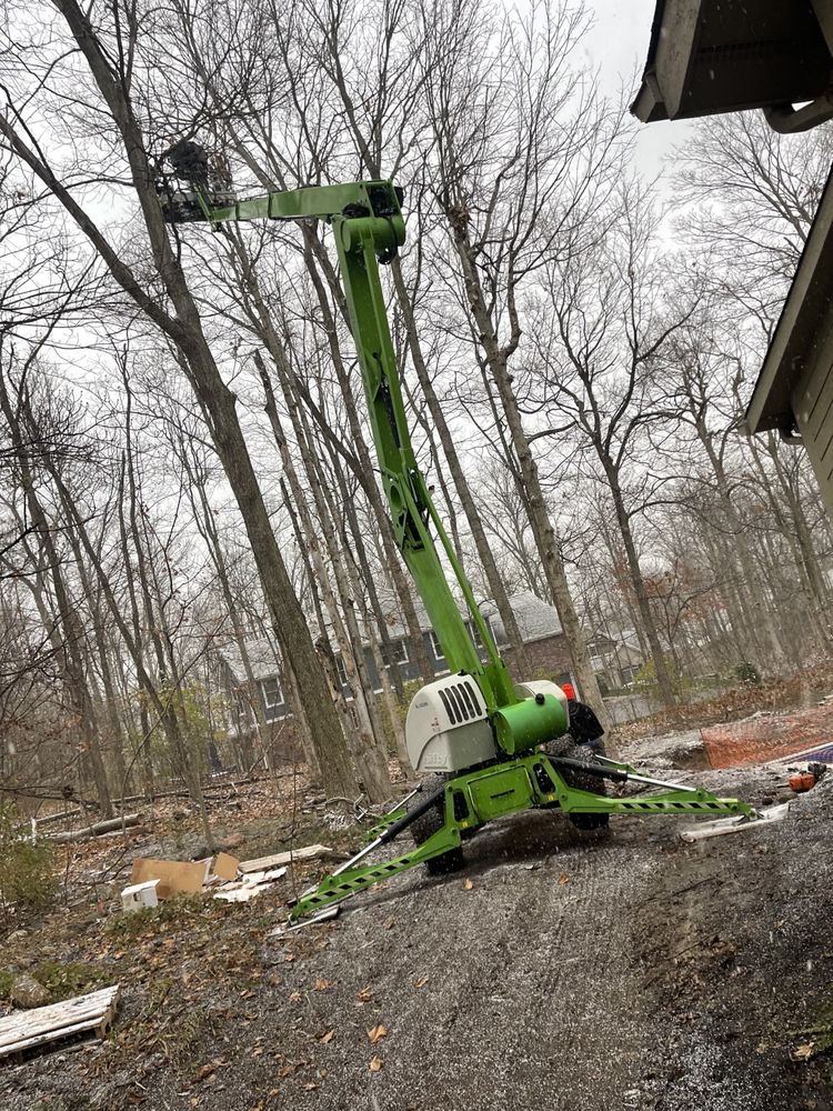 P&L TREE SERVICE - Updated November 2025 - 29 Photos & 14 Reviews ...