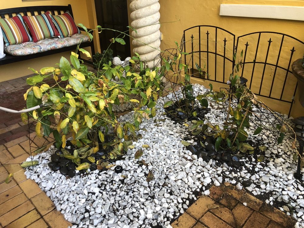 FOAMBRITE ROOF CLEANING - Updated July 2025 - 26 Photos & 23 Reviews ...