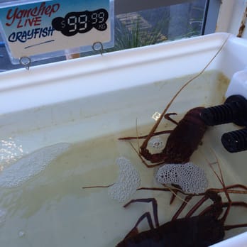 SEAFRESH MYAREE - Updated December 2025 - 488 Marmion St, Myaree ...