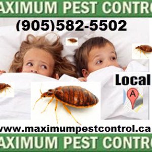 PRO WILDLIFE NIAGARA - Updated July 2024 - 2A Orchard Parkway, Grimsby, Ontario - Wildlife ...