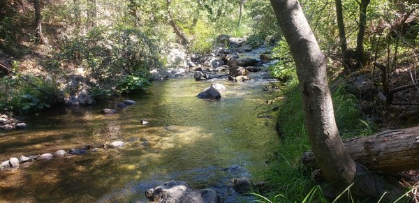 DUTCH FLAT RV RESORT - 33 Photos & 24 Reviews - 55 Canyon Creek Rd ...