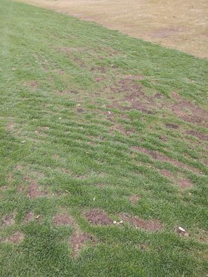 DELL URICH AT RANDOLPH GOLF COURSE - Updated March 2025 - 18 Photos ...