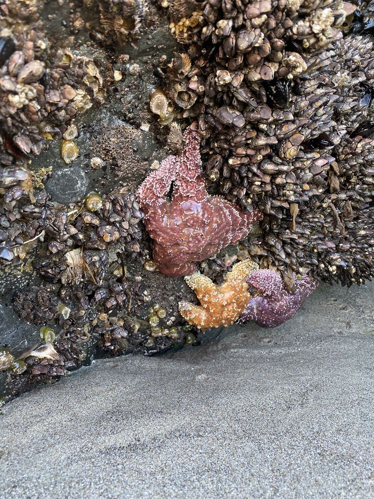 BARVIEW JETTY CAMPGROUND - 65 Photos & 50 Reviews - 8000 Cedar Ave ...