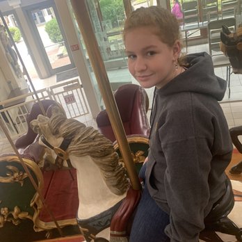 CAROUSEL AT COOLIDGE PARK - Updated September 2025 - 110 Photos & 34 ...