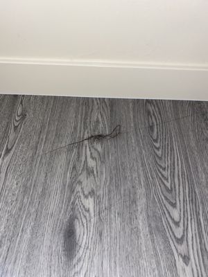 NEWPORT CHANNEL INN - Updated July 2025 - 77 Photos & 115 Reviews ...