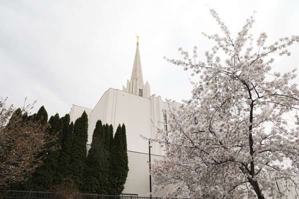JORDAN RIVER UTAH TEMPLE - Updated December 2025 - 93 Photos & 14 ...