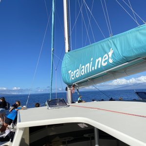 TERALANI SAILING - 521 Photos & 554 Reviews - Lahaina, HI - Yelp